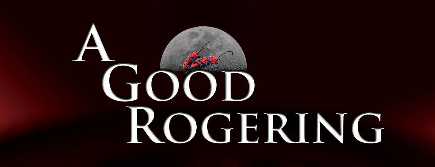 A Good Rogering Chicago Shows on Do312