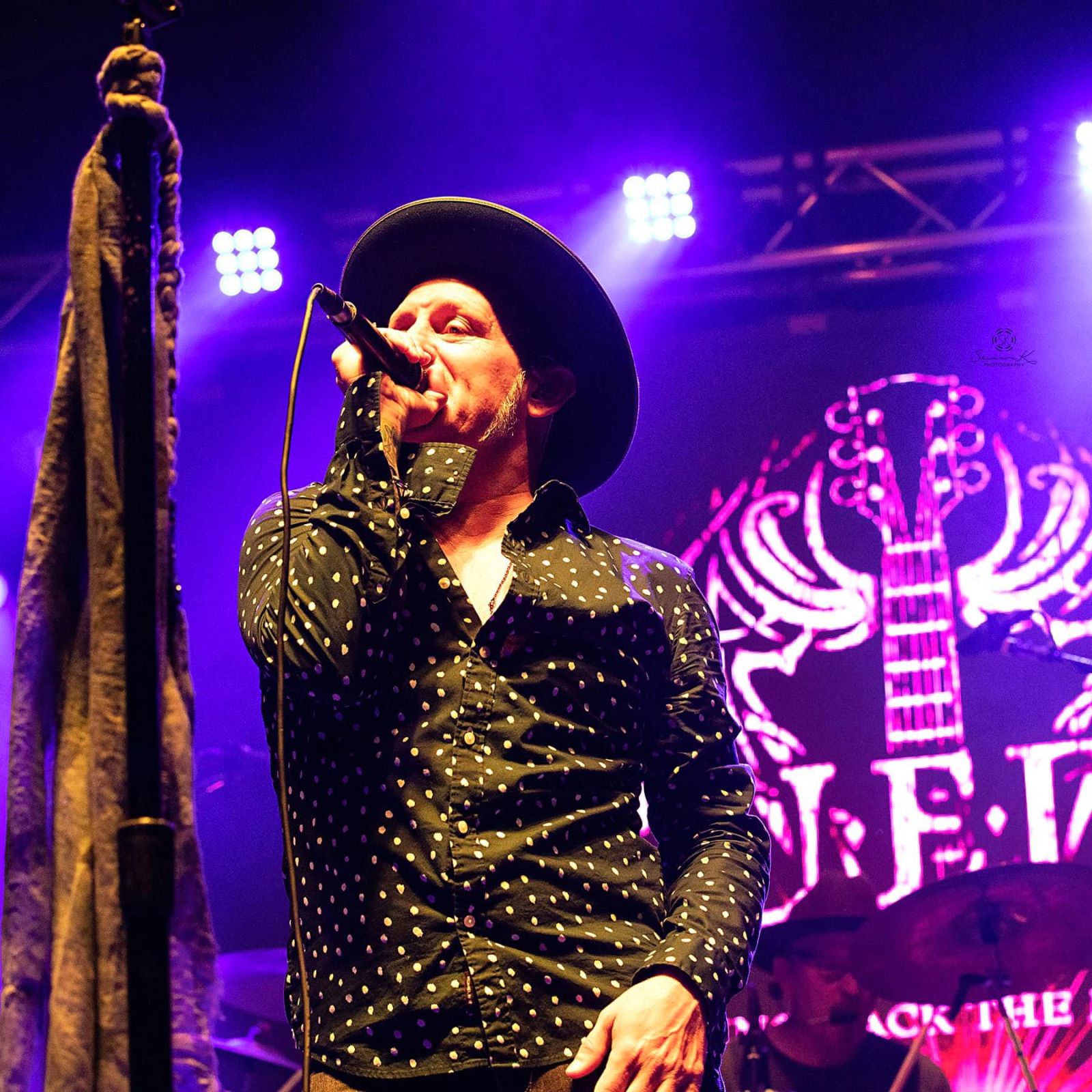 Suede Austin Austin Shows on Do512