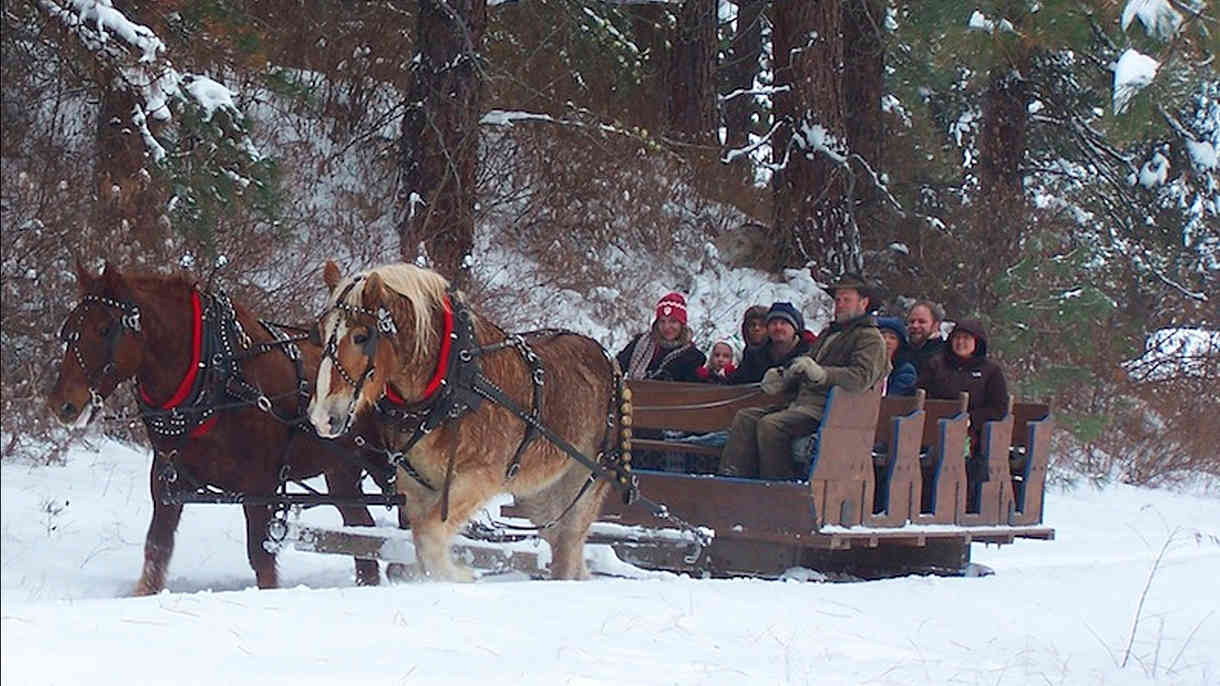 Leavenworth Sleigh Ride and Christmas Lights Festival in