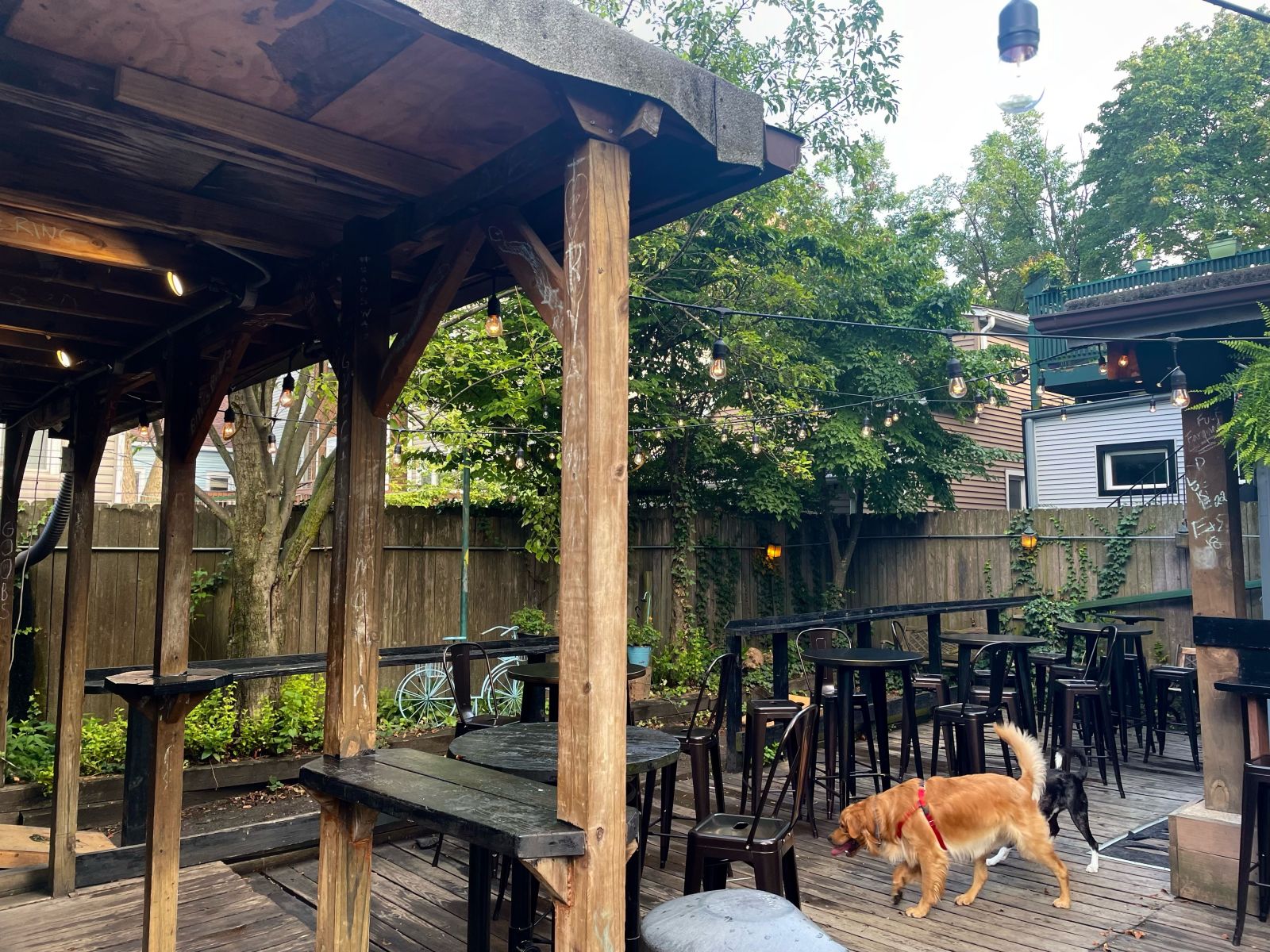 Cody’s National Dog Day Party in Chicago at Cody's Public House