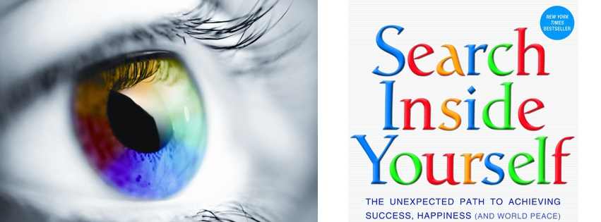 Search Inside Yourself in San Francisco at California Institute