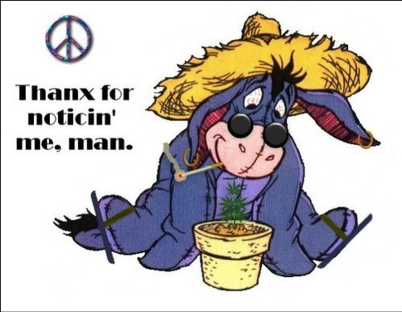 Eeyores 51st Annual Birthday Party in Austin at Pease Park