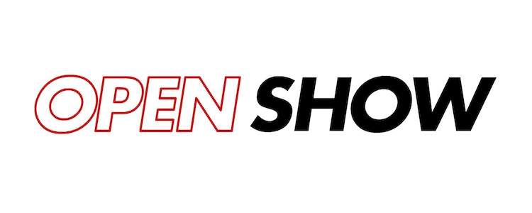 Open Show in Brooklyn at Videology