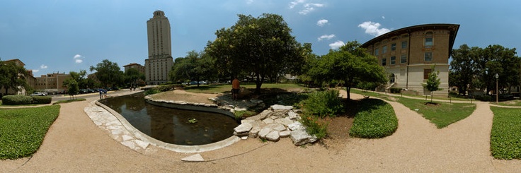 Turtle Watching at the Turtle Pond in Austin at University of