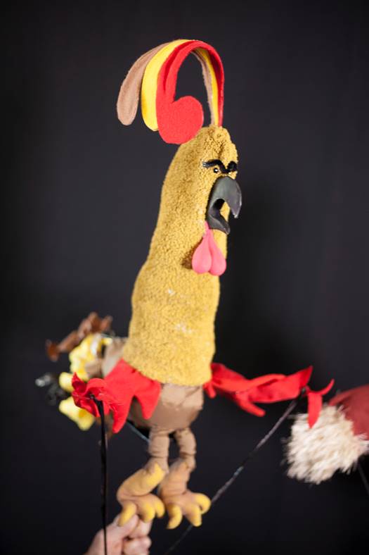 Chicken Big in Austin at Austin Public Library Howson Branch