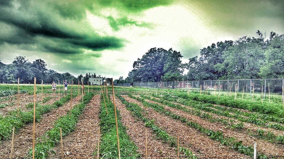 Seven Steeples Farm Party in Indianapolis at Seven Steeples Farm