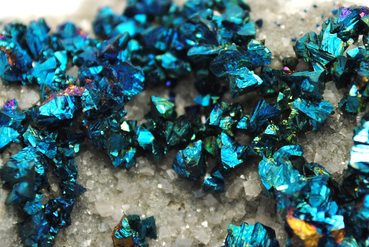 GeoFest: The 14th Annual Indiana State Museum Fossil, Gem