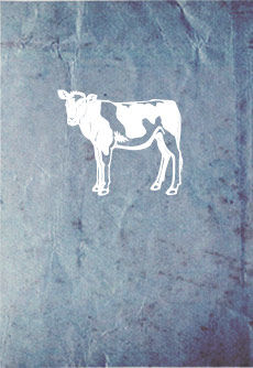 Britt Birrer (Comedian) in Nashville at Acme Feed and Seed