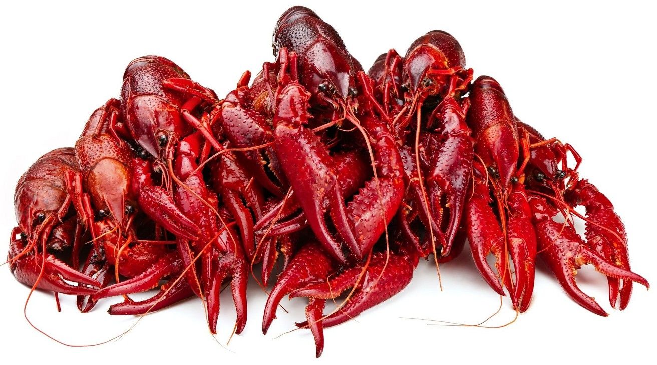 East Nash Crawfish Bash in Nashville at Bongo Java East & Game