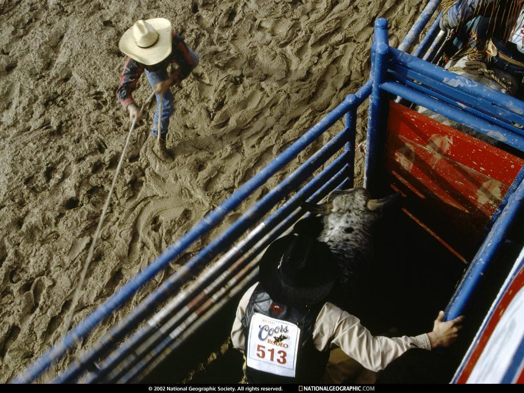 2017 San Antonio Stock Show & Rodeo followed by Willie Nelson
