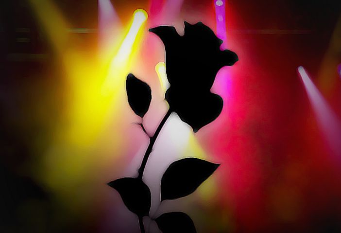 The Rose Room Grand Opening in Austin at The Rose Room