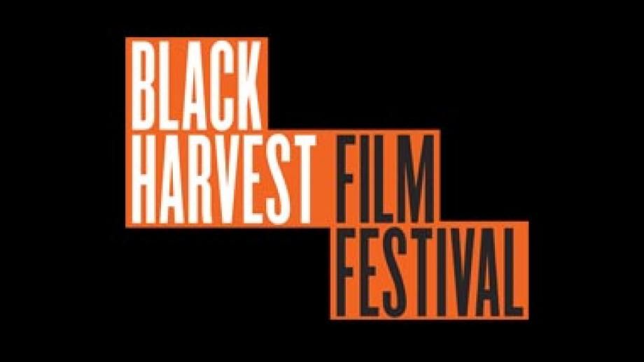 Panel Discussion: Action! The Real Deal About Filmmaking in