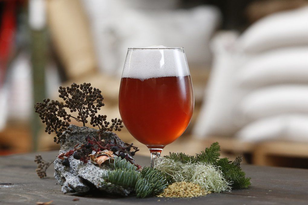 Brews and Blooms in San Antonio at San Antonio Botanical Garden