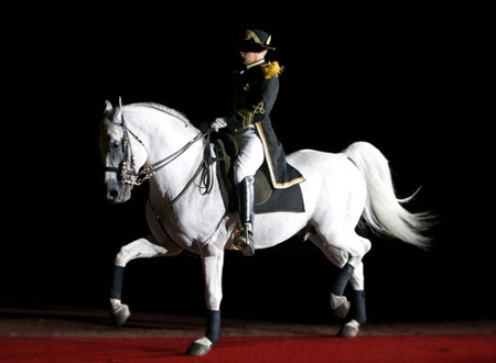 The World-Famous Lipizzaner Stallions in Austin at Frank Erwin