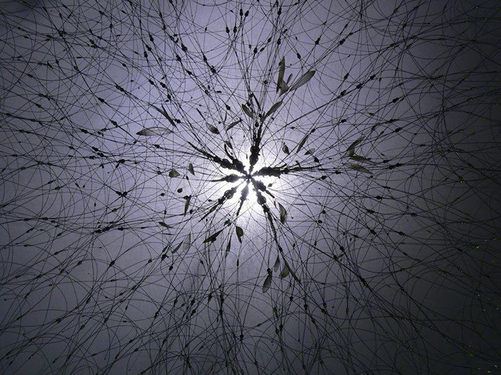 The Art of Science: Synthetic Biostructure in St. Louis at