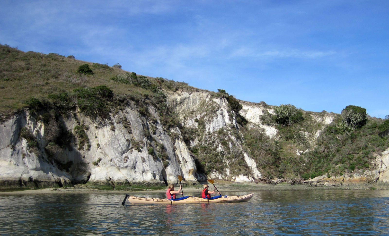 Wetlands Kayak Birding Tour in Point Reyes at PRNSA Field