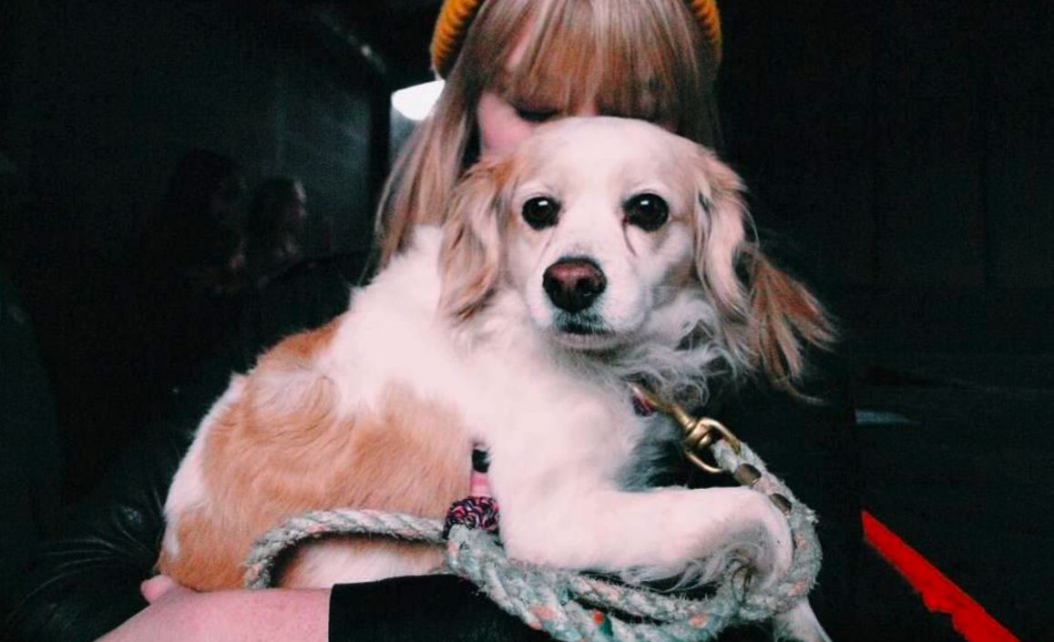 4th Annual Dog Beard & Moustache Competition in Austin at Mohawk