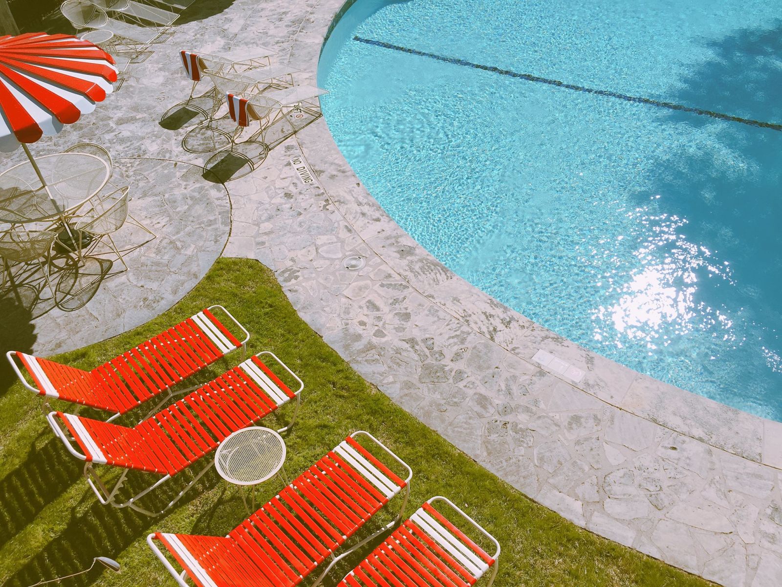 A Beehive Pool Party in Austin at Austin Motel