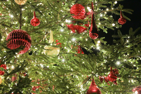 Festival of Trees in Indianapolis at Indiana History Center