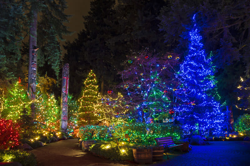 Canyon Lights at Capilano Suspension Bridge Park in North