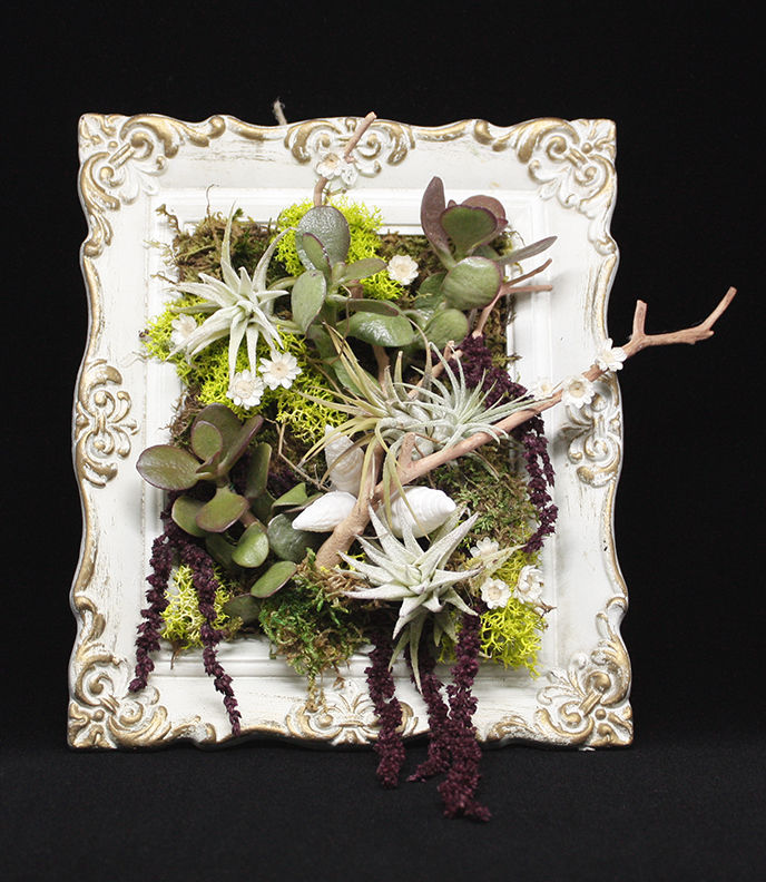 Make a Mini Living Wall Class in Austin at Articulture Designs