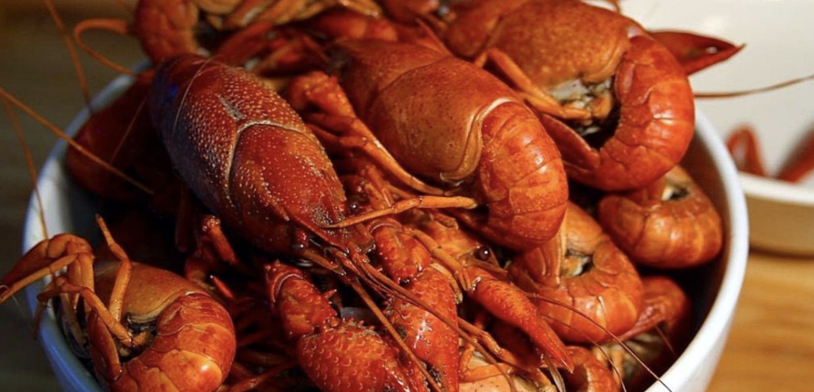 Texas Trap & Skeet Crawfish Boil & Clay Shoot in Austin at Capital