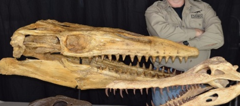 Dinosaur George in Austin at Austin Public Library Central