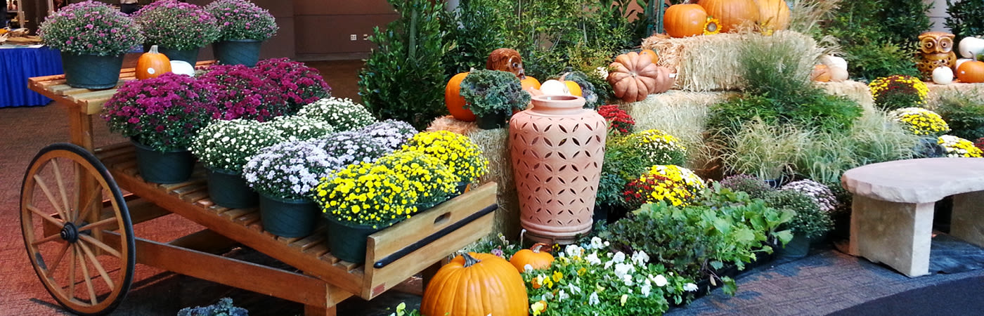 23rd Annual Austin Fall Home & Garden Show in Austin at Austin