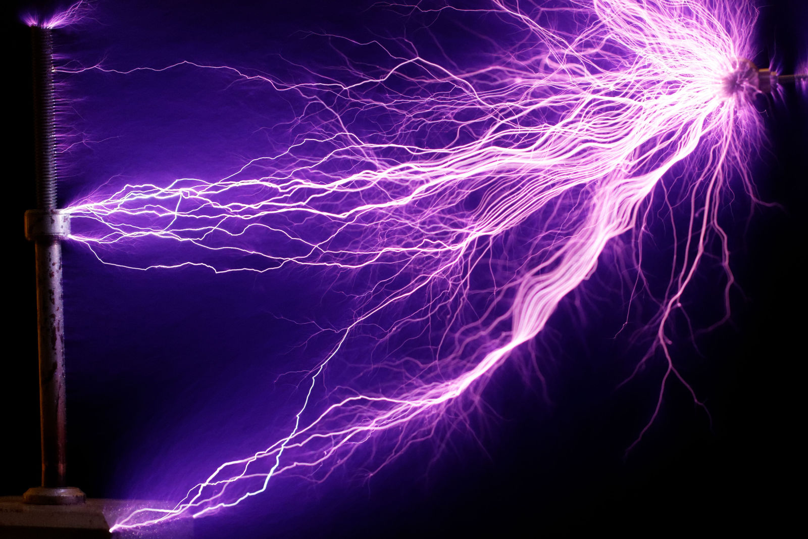 After Dark: It's Electric! in San Francisco at Exploratorium