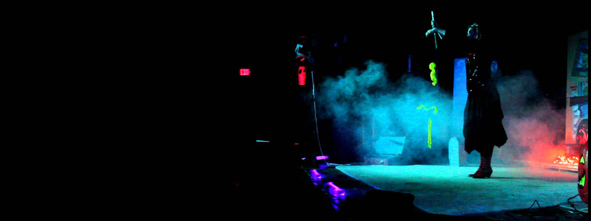 The Slightly Haunted Puppet Show in Indianapolis at Irving