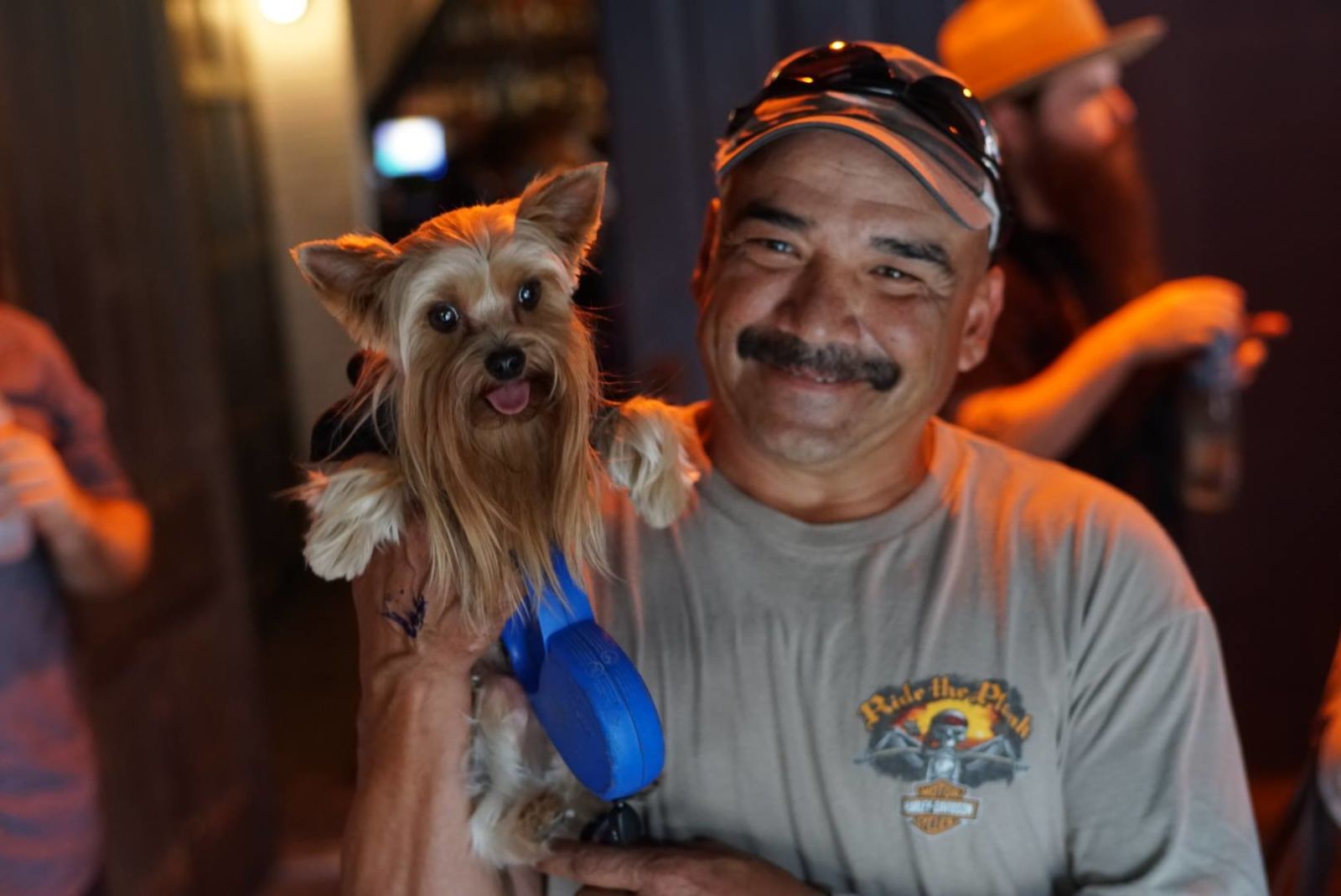 5th Annual Dog Beard & Moustache Competition in Austin at The