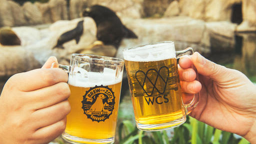 Brew at the Zoo in Bronx at Bronx Zoo