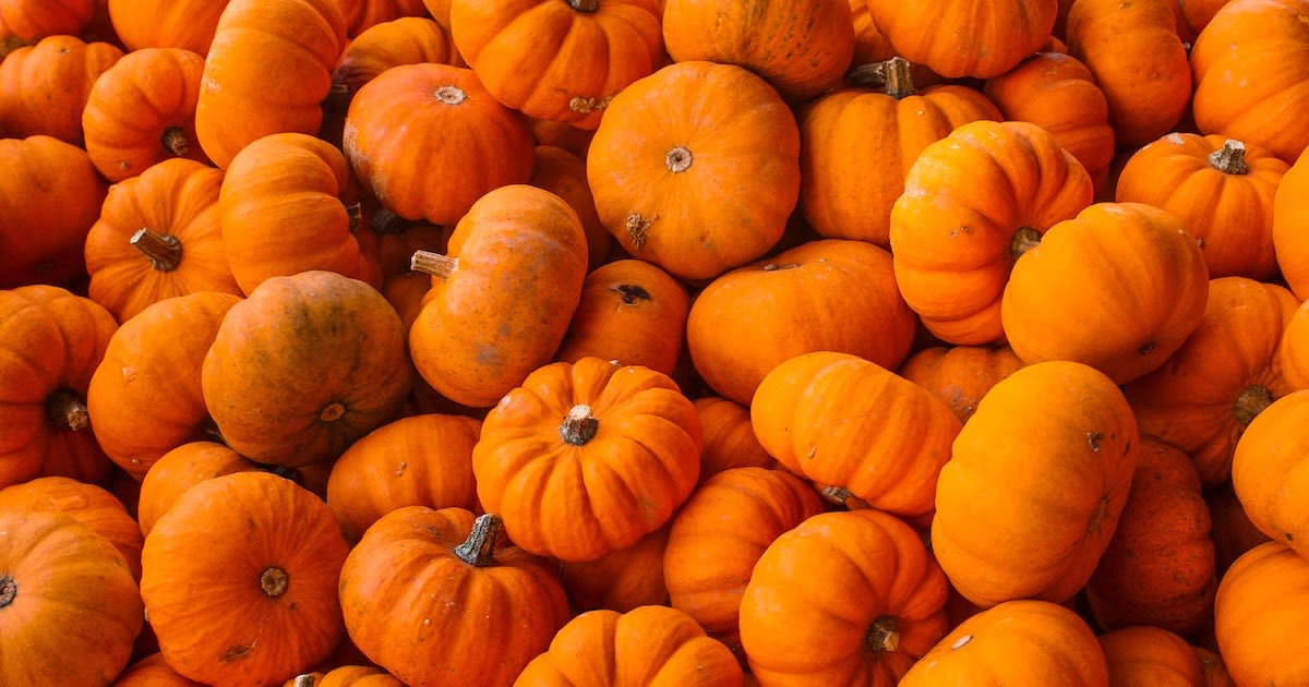 50 Things To Do in October