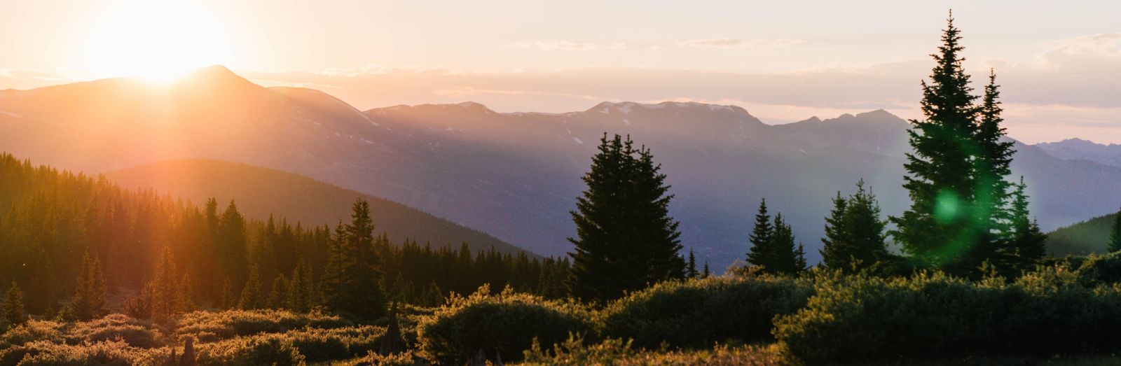 50 Things to Do in June