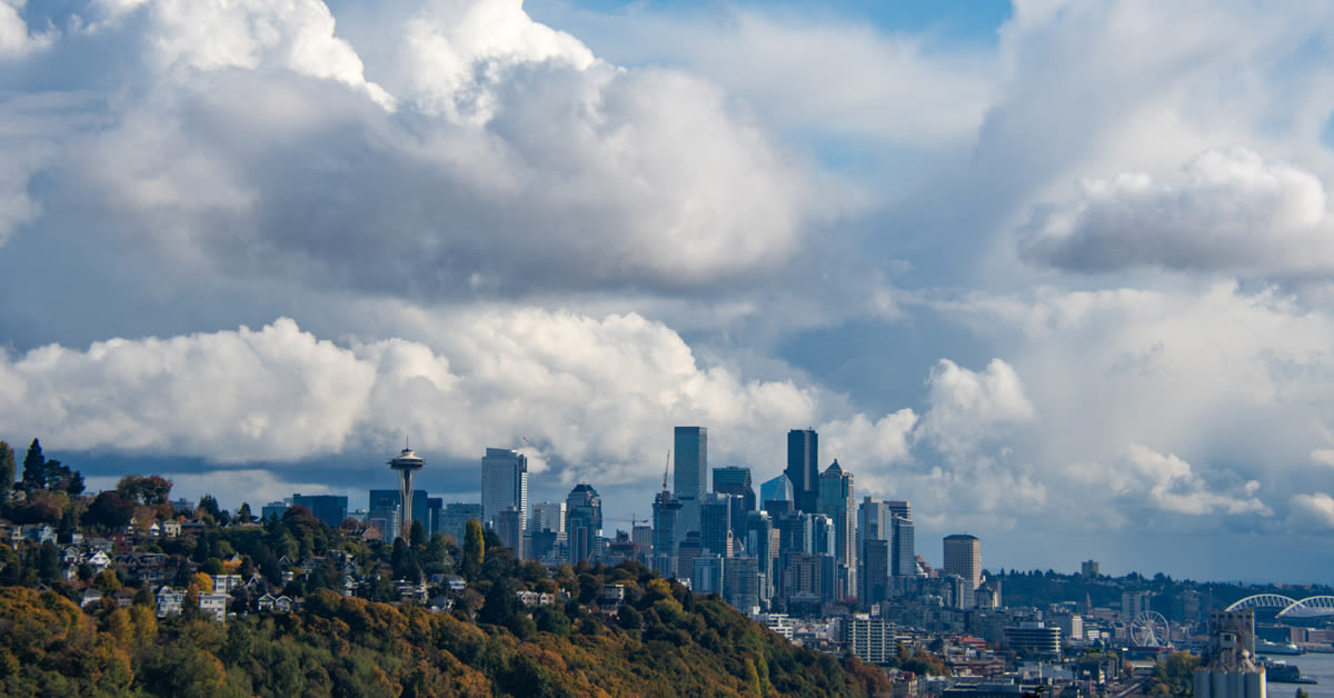 50 Things To Do This November In Seattle