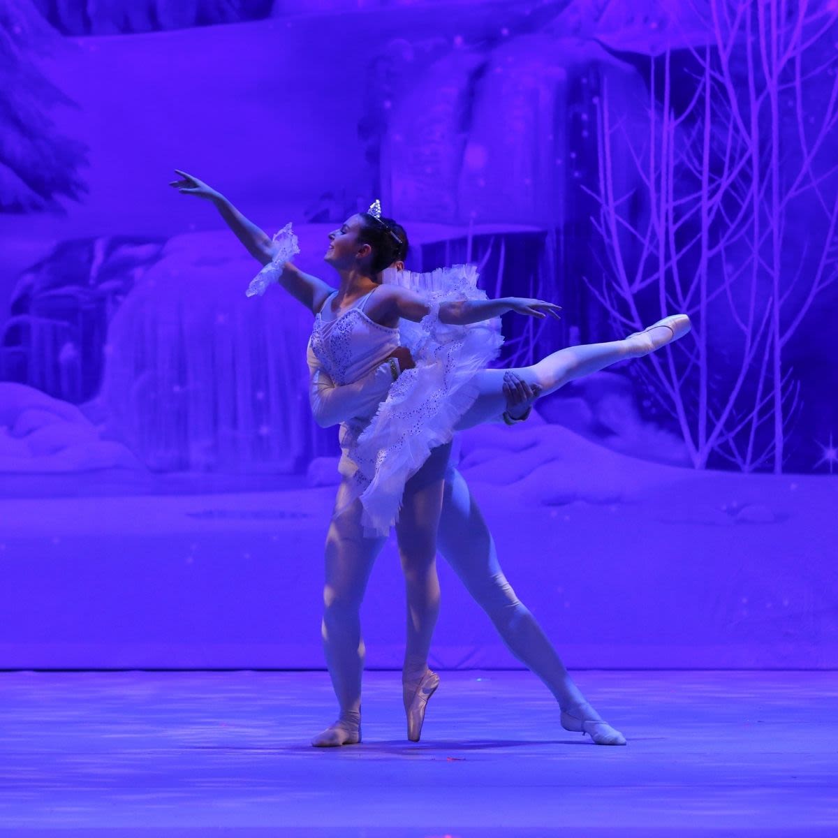 Seymour Dance Presents: The Nutcracker