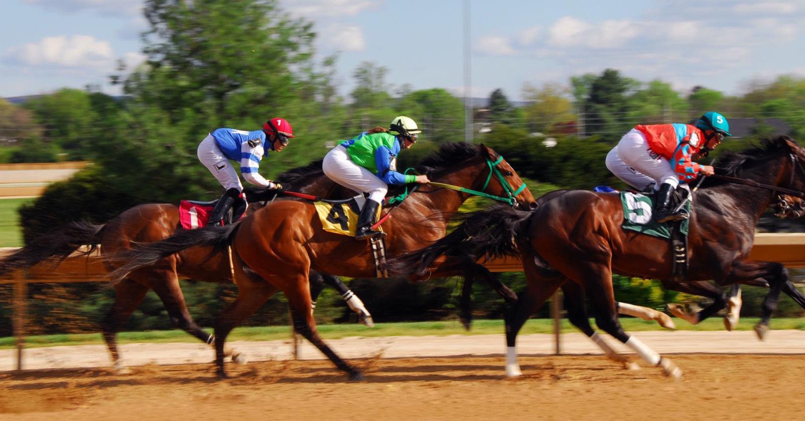 Derby Day In Chicago