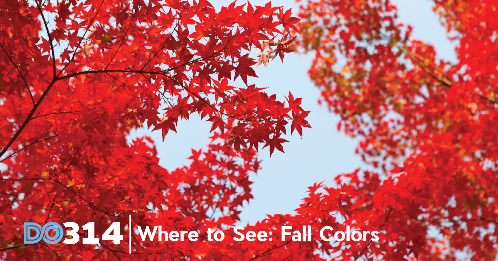 Where to See Fall Colors in St. Louis