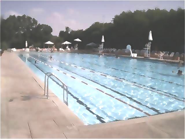 Alamo Heights Swimming Pool, Upcoming Events in San Antonio on