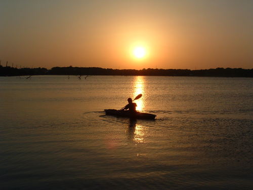 Paddle Point Park, Upcoming Events in Rowlett on Do214