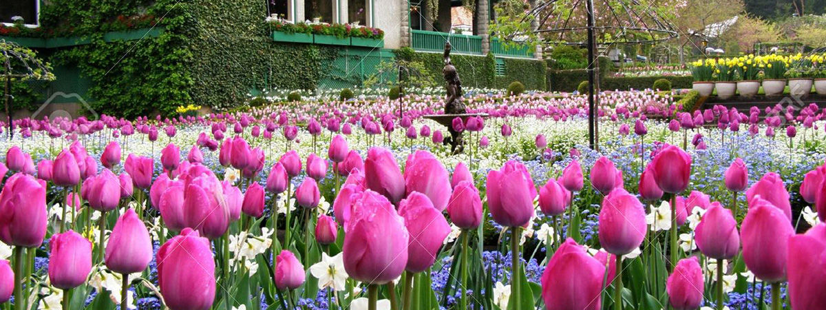 The Butchart Gardens, Upcoming Events in Victoria on Do250