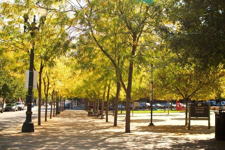 Jamison Square, Upcoming Events in Portland on DoPDX