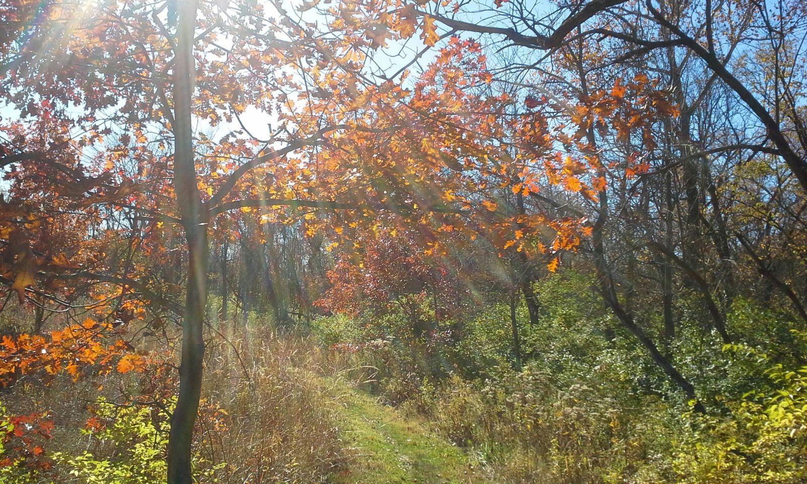 Marion Sansom Park, Upcoming Events in Fort Worth on Do214