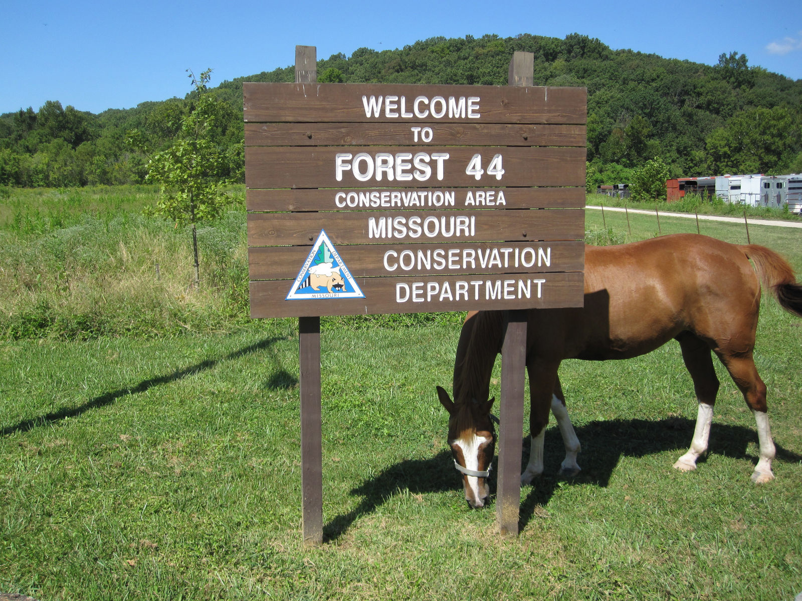 Forest 44 Conservation Area, Upcoming Events in High Ridge on