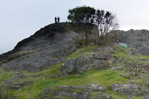 Moss Rock Park, Upcoming Events in Victoria on Do250