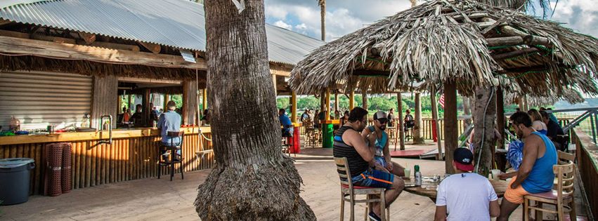 Frogs at The Pond, Upcoming Events in Austin on Do512