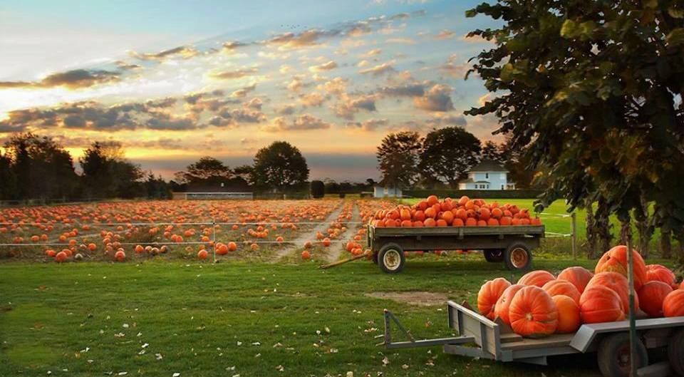 The Robinson Family Farm, Upcoming Events in Temple on Do512