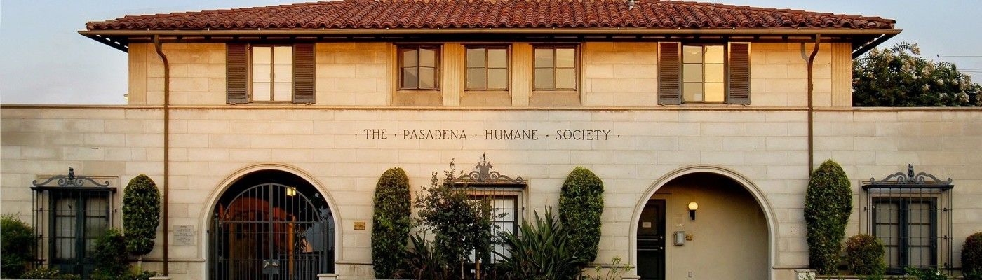 Pasadena Humane Society & SPCA, Upcoming Events in Pasadena on