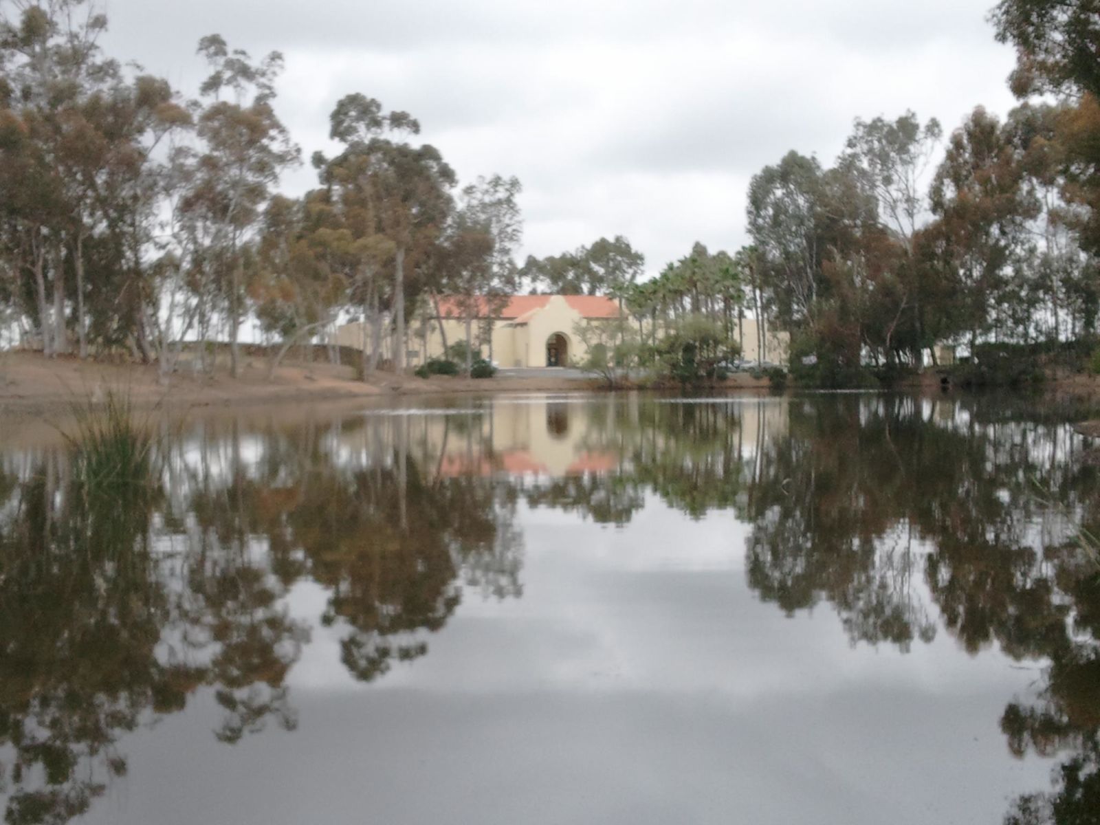 Scripps Miramar Ranch Library Center , Upcoming Events in San