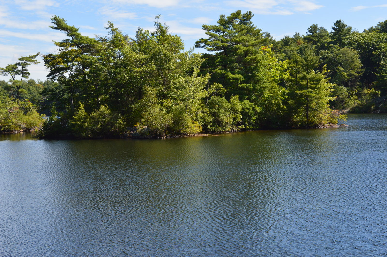 Breakheart Reservation , Upcoming Events in Saugus on Do617